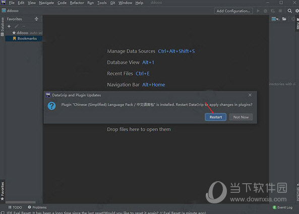 DataGrip2021 V2021 3 
