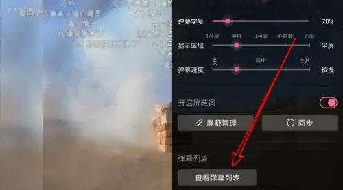 哔哩哔哩弹幕列表怎么看 手机查看弹幕教程 当下软件园