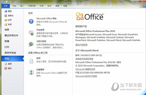 Word2010专业版下载|微软Word2010专业版 32/64位版 官方免费版下载_当下软件园