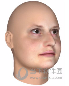 Facegen Artist Pro3.8破解版|Facegen Artist Pro V3.8 最新免费版下载_当下软件园